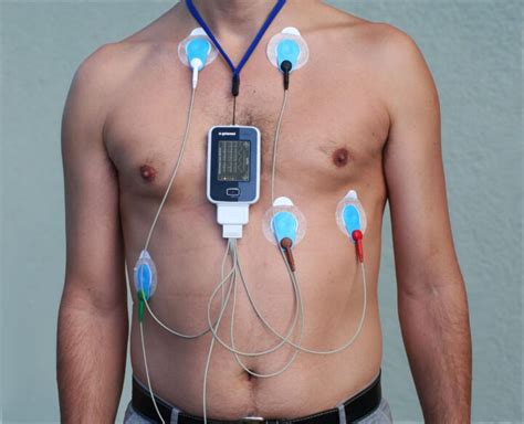 What Is The Difference Between ECG And EEG Daily Health Cures