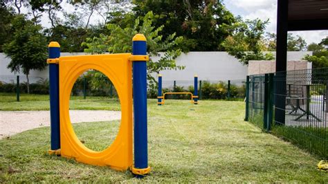 Parques Para Perros 11 Elementos Esenciales Que Necesitan