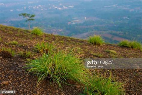 Ngr Photos And Premium High Res Pictures Getty Images