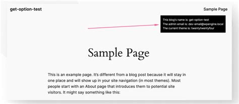 Wordpress Getoption Function What It Is And How To Use It White Canvas