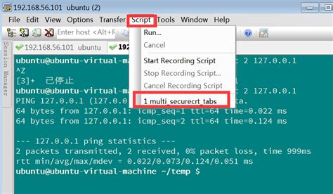 securecrt使用vbs脚本向多个tabs窗口发送带变量的命令 crt脚本发送变量 csdn博客