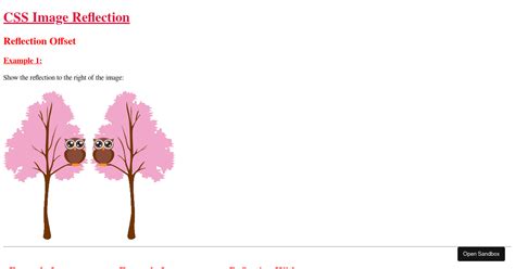 CSS Image Reflection Codesandbox