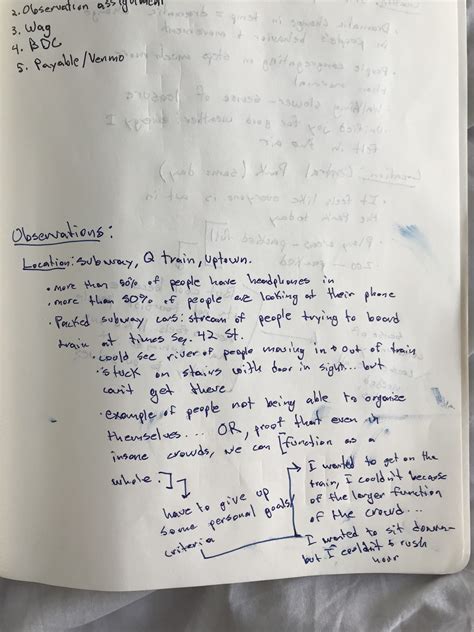 Observation Notebook Liza Doyle