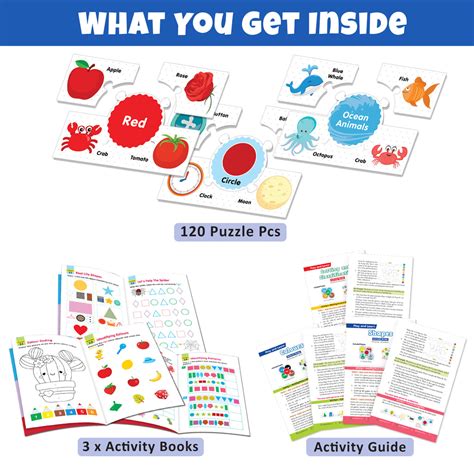 Little Berry Little Berry Shape Colour Sorting And Classification