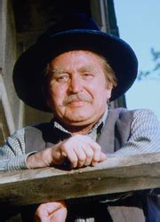 Karl Swenson Biographie Carrière Et Filmographie Hypnoweb