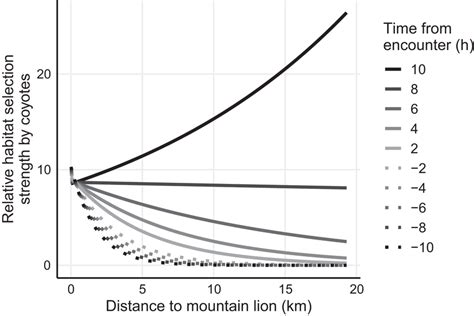Relative Habitat Selection Strength Exponentiated Linear Predictor