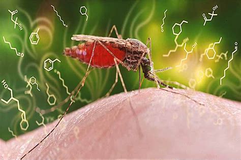 Ai Based Malaria Detection System Launched By Indonesia