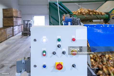컨베이어 정렬 라인의 장치 제어 패널 대형 농업 회사의 작물 식품 또는 상품의 등급 포장 및 보관을 위한 생산 시설 양파 전구 종류 건축물에 대한 스톡 사진 및 기타 이미지