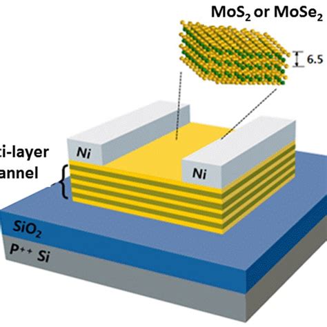 Device Schematic For Mos2 And Mose2 Devices Device Is Back Gated Via A