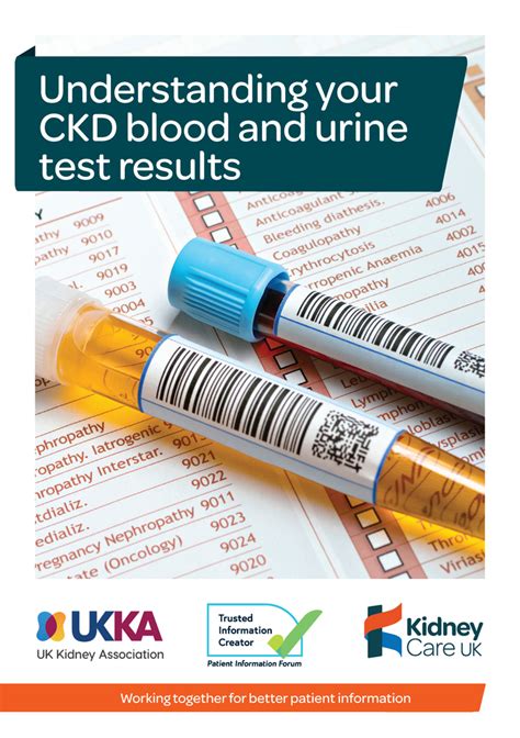 Understanding Your CKD Blood And Urine Test Results Kidney Care UK