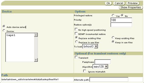 Restoring File System Data