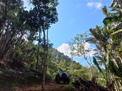 atishay ramdonee on linkedin fieldwork