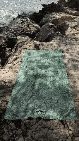 Beach Day Forest  By Towelup Find And Share On Giphy