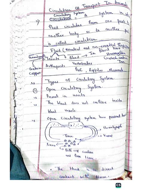 Biology Chapter 12 Introduction By Mr Naveed Pdf