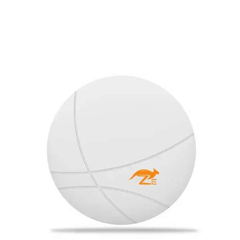 Ze Access Point At Best Price In Mumbai By Wintech Bharat Private Limited Id 2853055653912