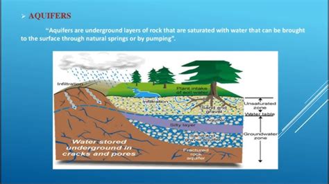 Zone Of Saturation Diagram