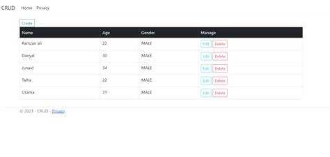 Github Ramzan Ali12net Mvc