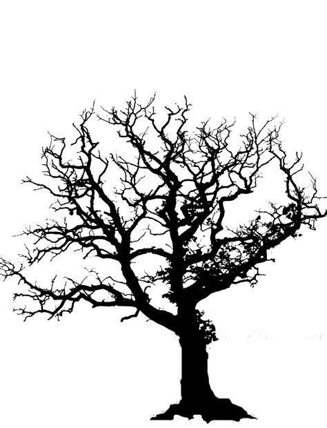 Free Oak Tree Clip Art