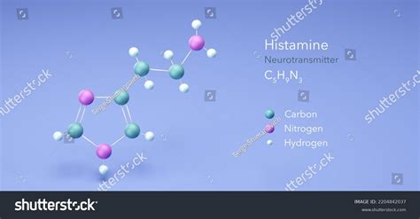 Histamine Molecular Structures Neurotransmitter 3d Model Stock Illustration 2204842037