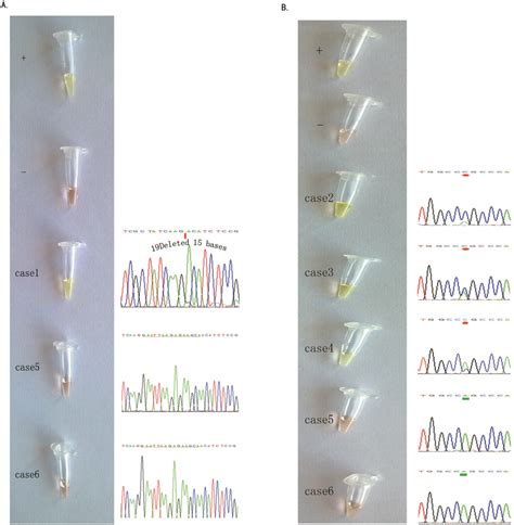 Comparison Of The Pcr And Dna Sequencing Data With Our Visualization Download Scientific