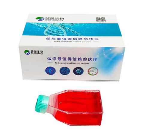 B82小鼠肿瘤细胞