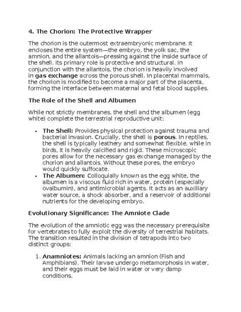 Amniotic Egg In Zoology Sub Plan Classwork Homework By The Stem Center