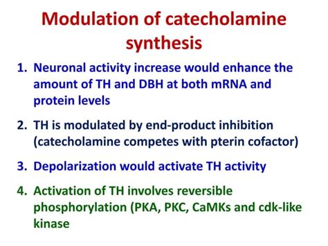 Biosynthesis Of Catecholamines Pptx