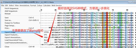 适合新手：jalview 多序列比对显示序列标识（超详细） jalview教程多序列比对 csdn博客