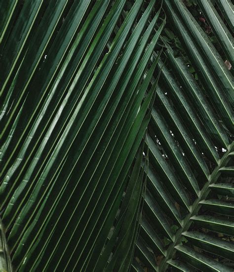 Background With Low Opacity Photos Download The Best Free Background With Low Opacity Stock