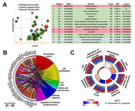 Pathway Analysis Identifies Diverse Key Biological Processes Download Scientific Diagram