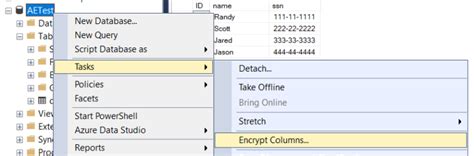 Enabling SQL Server Always Encrypted SQL Solutions Group