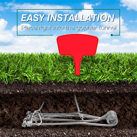 qualirey 8 pcs outdoor gopher trap easy to set mole india ubuy