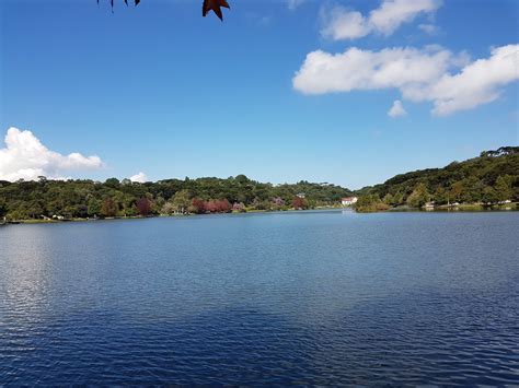 무료 이미지 자연 하늘 구름 물줄기 반사 저수지 수로 수자원 바다 강 나무 낮 호수 지구 수평선 고요한 육지 고지 협만 은행 입구