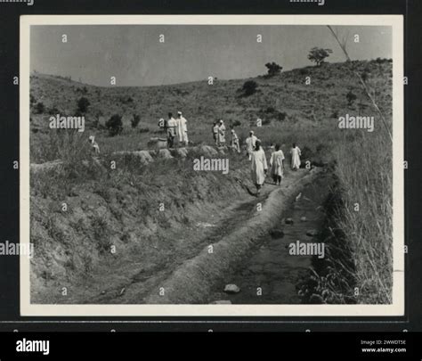 Erosion Control Works At Mubi Showing Soil Stabilization Structures