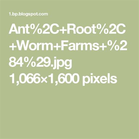 Ant And Root Worm Farms
