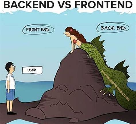 Wordpress Website Speed Optimization Service Humour Informatique Humour Trucs Drôles