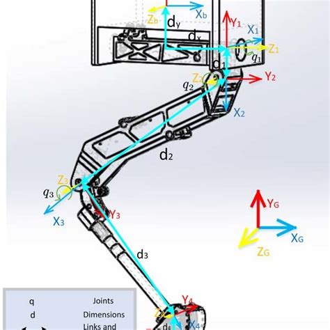 Model Coordinate System Construction And Annotation Download Scientific Diagram