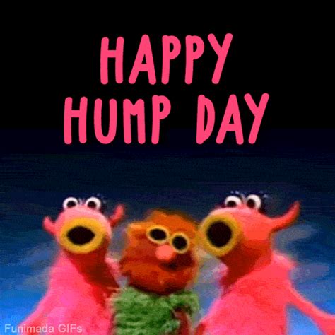 Happy Hump Day And Good Morning Wednesday S Funimada