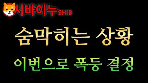 시바이누 코인 와 이번에 이거 제대로 폭등 나오겠네요 Youtube