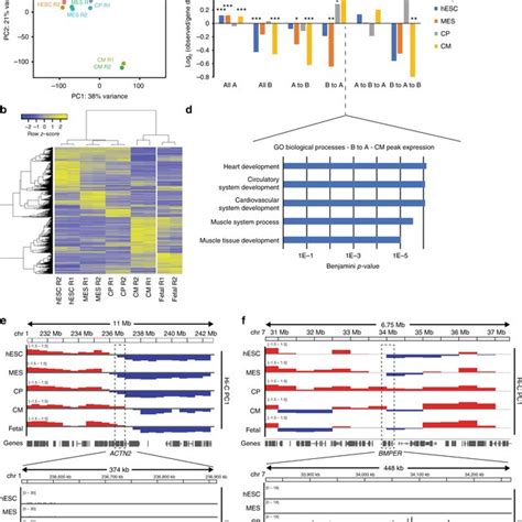 Dynamic Gene Expression Correlations With Changes In Genome Download Scientific Diagram