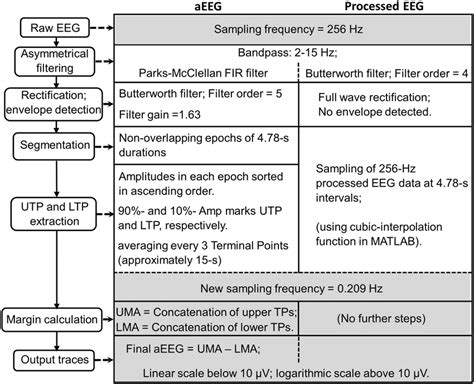 Methodological Overview Of Different Steps Among Two Data Processing