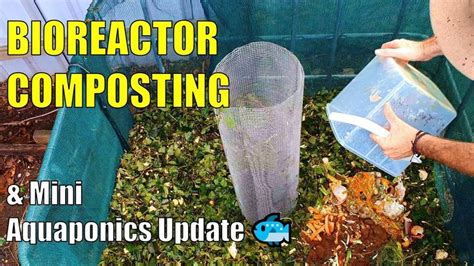 Bioreactor Composting And Mini Aqua Update