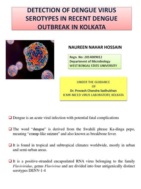 Detection Of Dengue Virus Serotypes In Recent Dengue Pdf Self