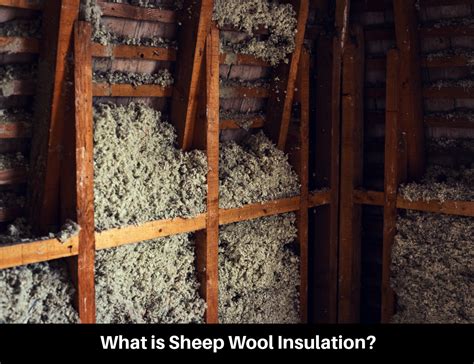 What Is Sheep Wool Insulation