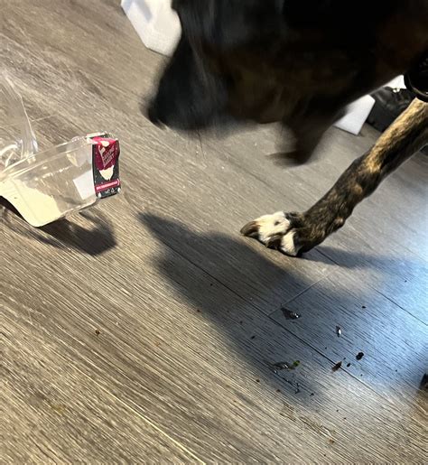 Aunt Cunt On Twitter Gone