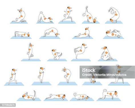 스포츠 끝점으로 잭 러셀 테리어 캐릭터와 요가 포즈 또는 아사나 세트 흰색 배경에 고립 된 개와 벡터 스톡 일러스트를 윤곽 요가에 대한 스톡 벡터 아트 및 기타 이미지