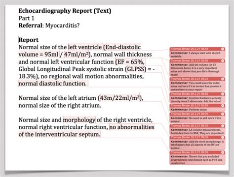Echocardiogram Report