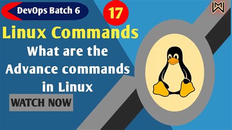 Session 17 Linux Advance Linux Commands Batch 6