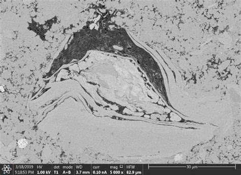 Sem Images Showing Pyrobitumen And Related Pores In Wufeng Longmaxi Download Scientific Diagram