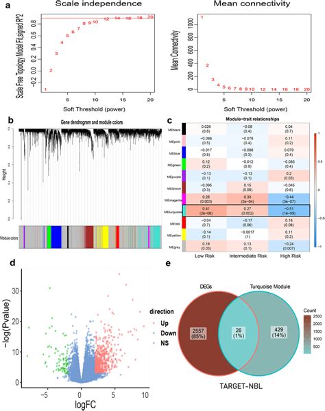 identification of neuroblastoma risk genes a the independence index